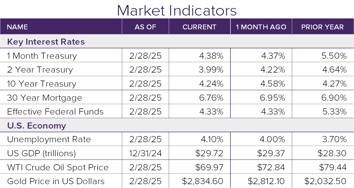 February 2025 Market Update | Sanderson Wealth Management