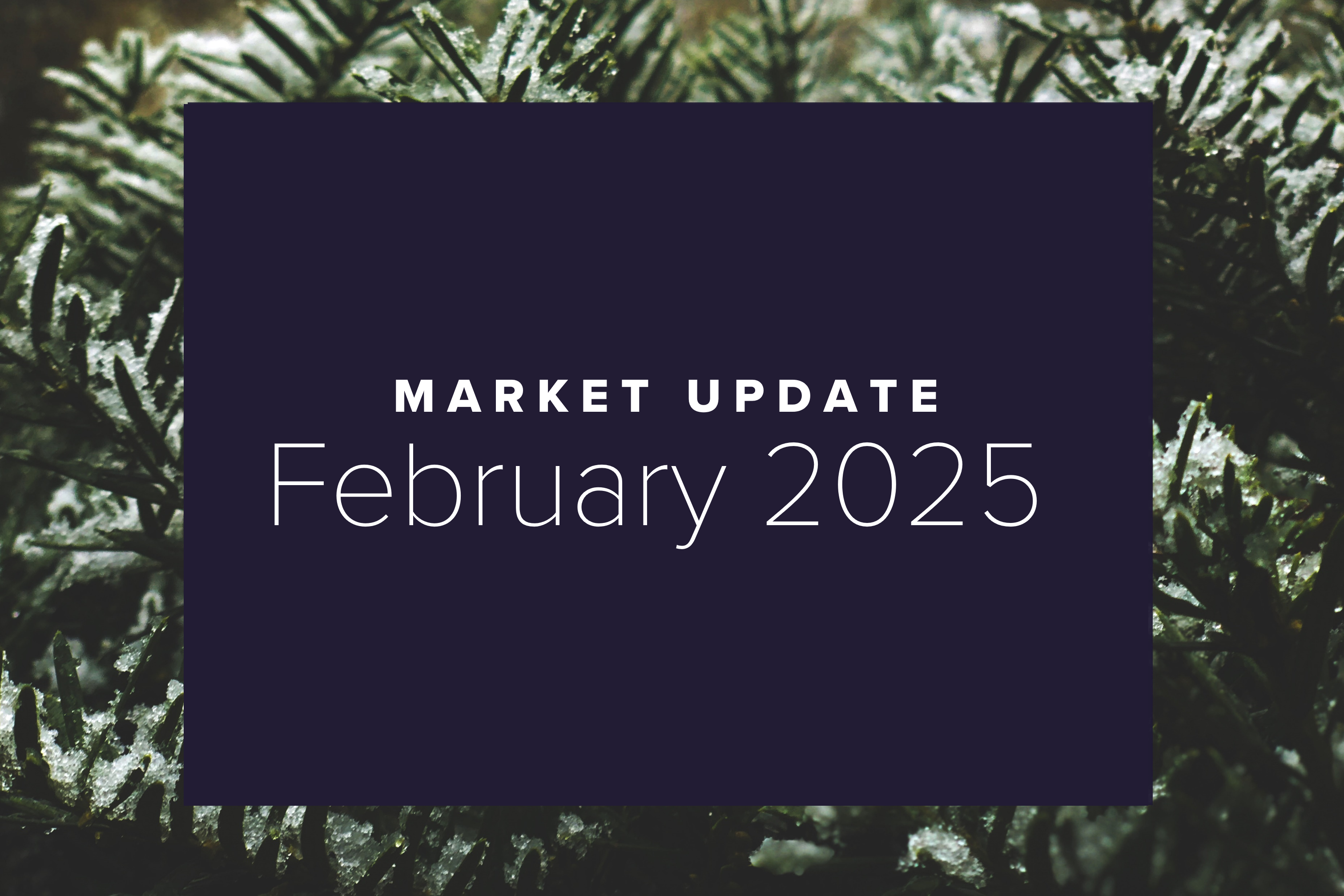 February 2025 Market Update | Sanderson Wealth Management