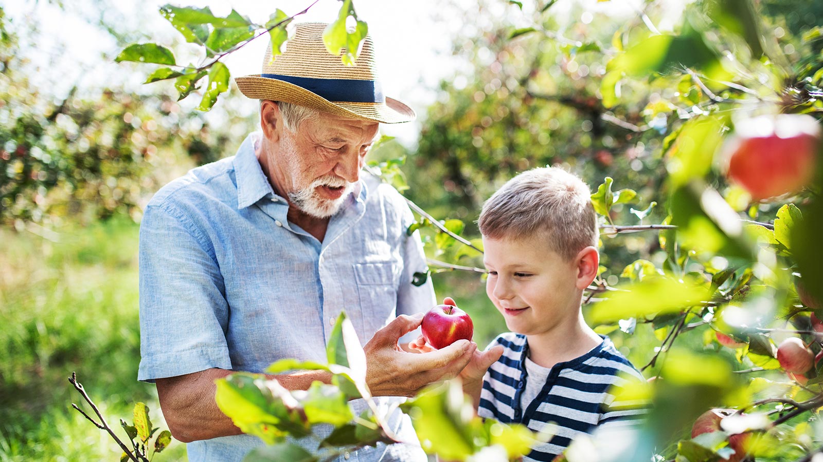 Video: Starting the Conversation on End-of-Life Planning